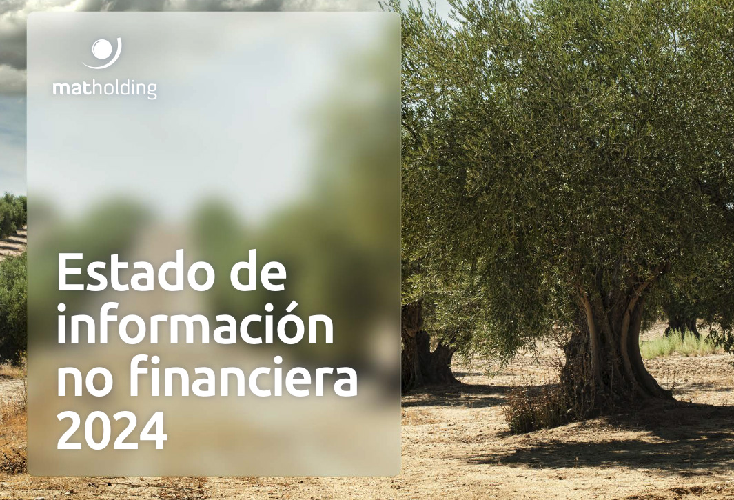 EINF | Informe de sostenibilidad y compromiso social